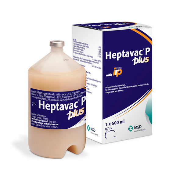 Heptavac-P Plus – W.E. Jameson & Son Ltd